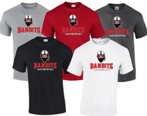 T-SHIRT GILDAN LOGO KIDS – Offizieller Fanshop der Bad Neustadt Bandits